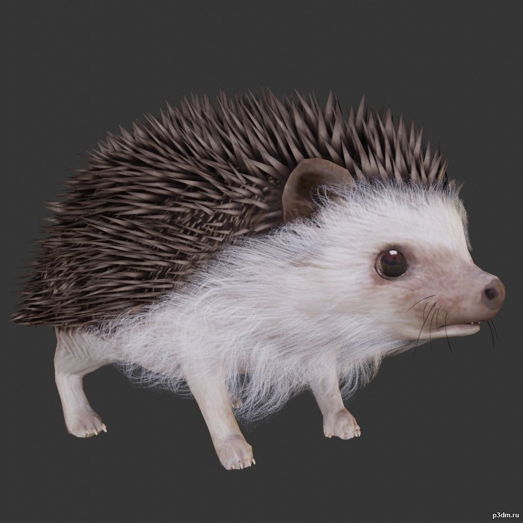 Hedgehogs » Pack 3D models
